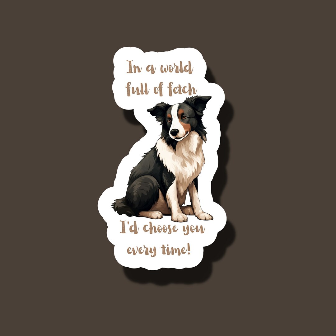 Fetch Border Collie Sweet 3 Matte Vinyl Laminated Sticker Decal - Etsy
