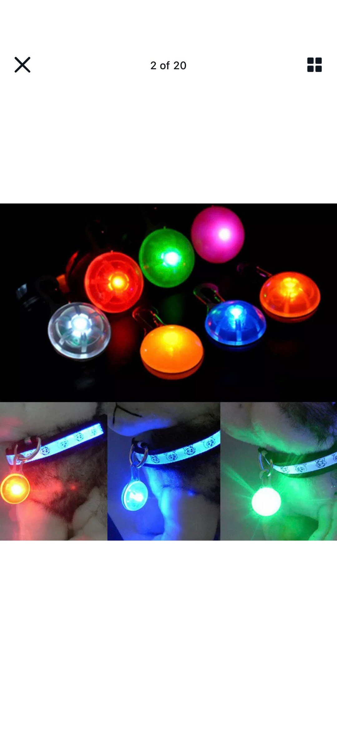 LED Pet Safety Light 8-pack: Hiking, Walking - Etsy
