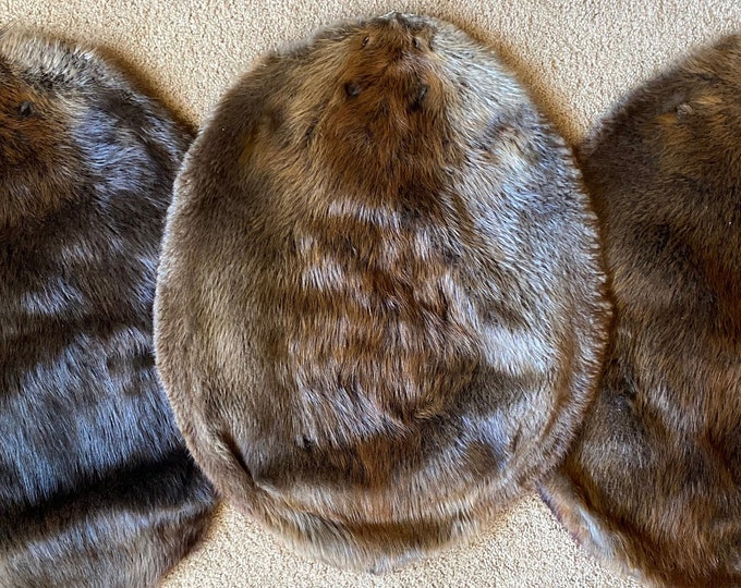 American Beaver Pelt - Etsy