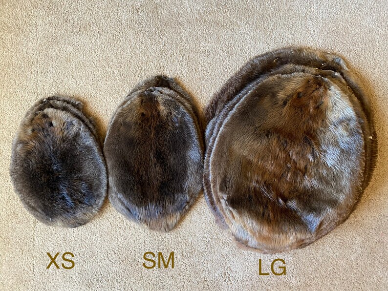 American Beaver Pelt - Etsy