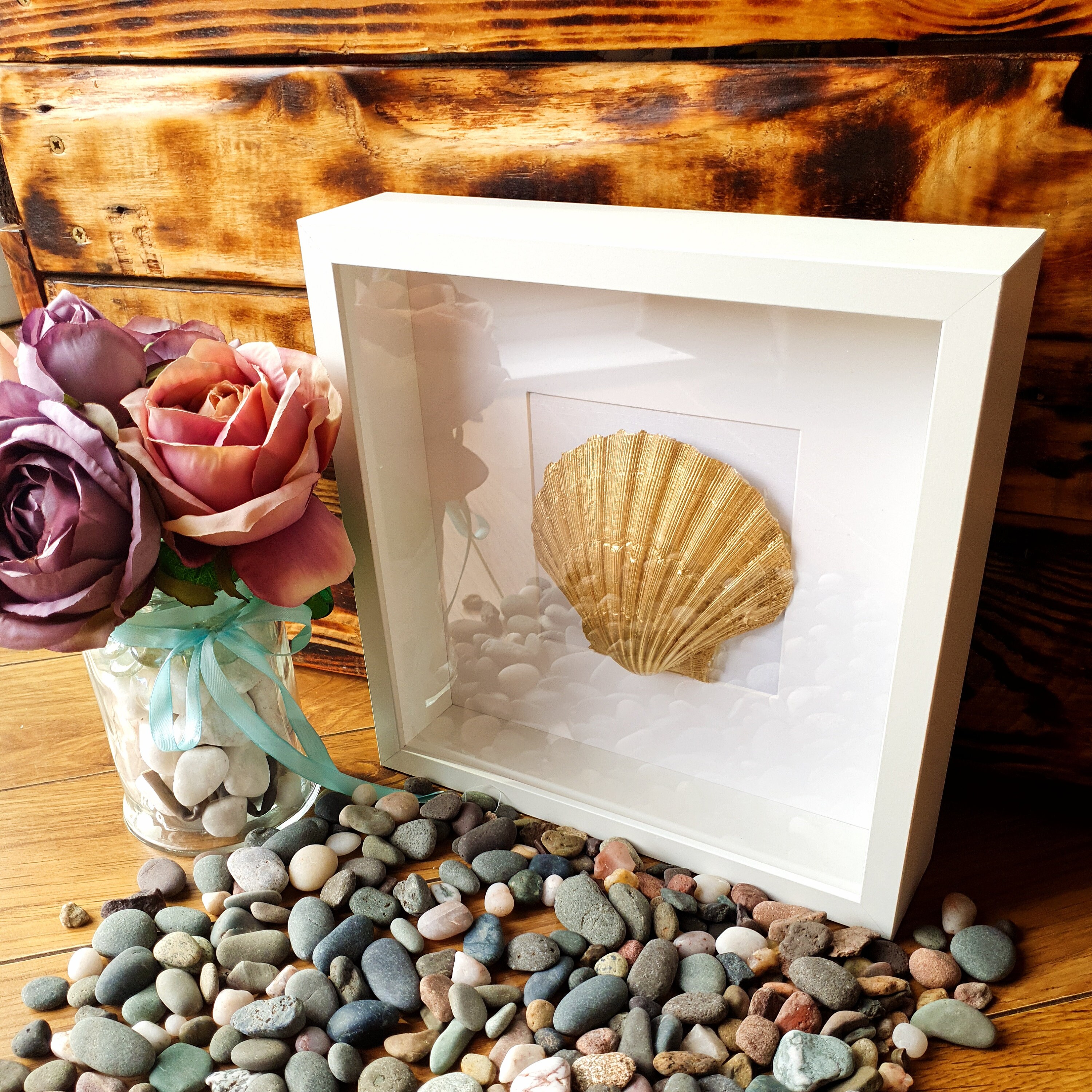 Seashell Shadow Box Wall Decor at Rachel Loxton blog