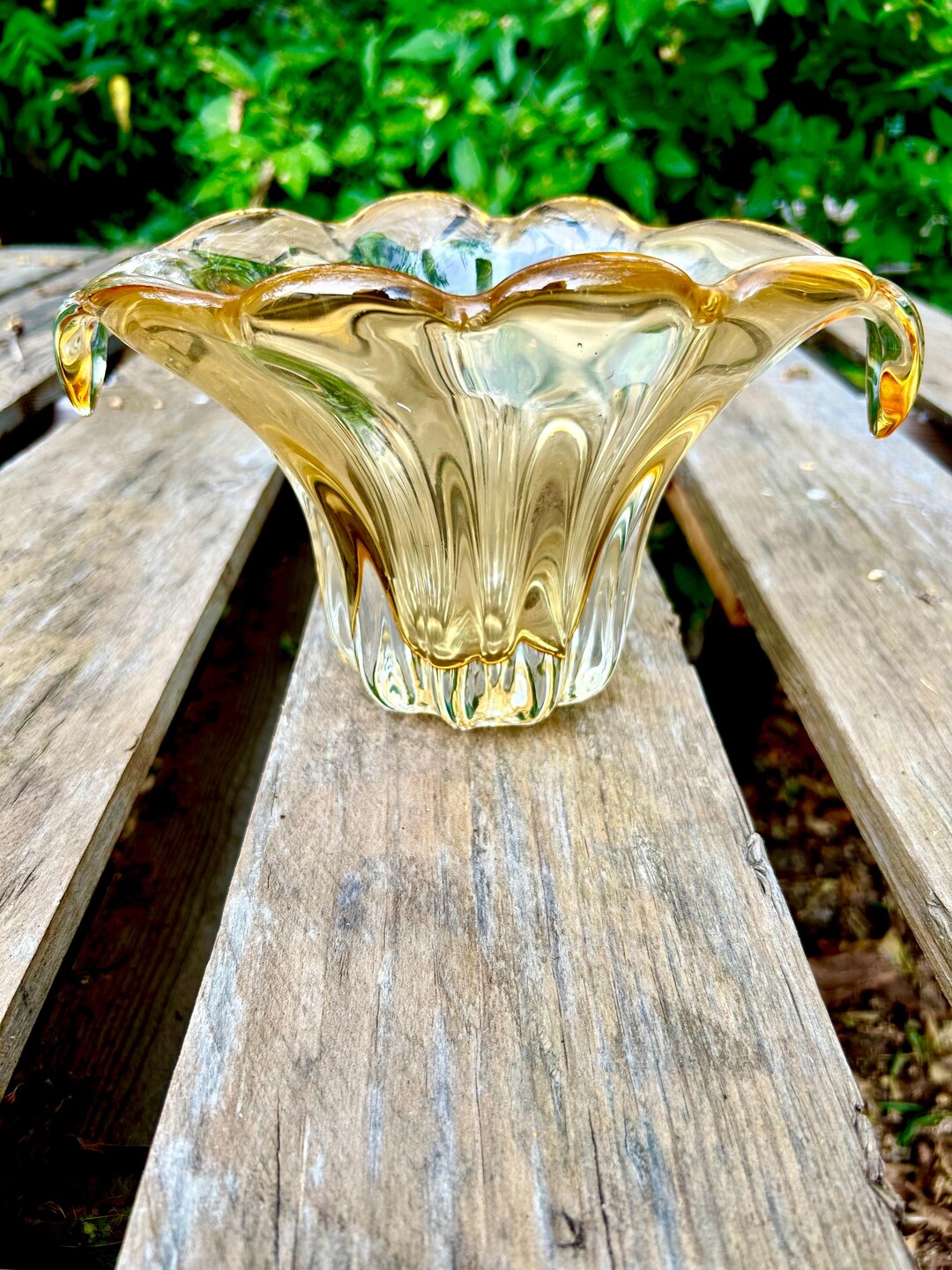 Murano Honey Gold Scallop Glass Vase, Ribbed Yellow Glass Bowl ...