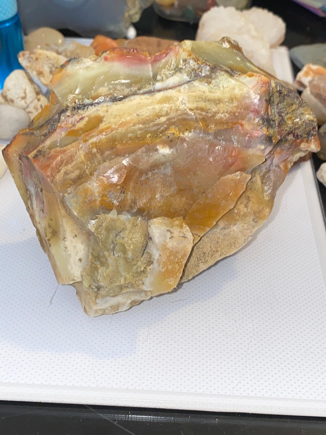 Rainbow Petrified Wood/16different colored agates 2380cts | Etsy