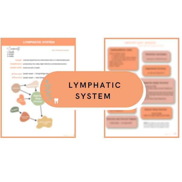Lymphatic System - Etsy