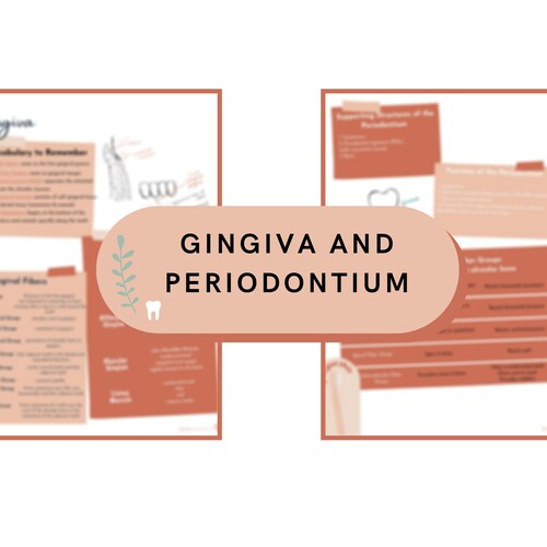 Dental Hygiene Anatomy Bundle Study Guide Digital Download - Etsy