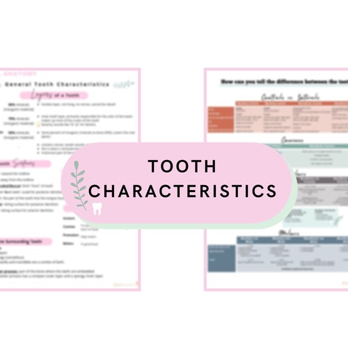 Dental Hygiene Anatomy Bundle Study Guide Digital Download - Etsy