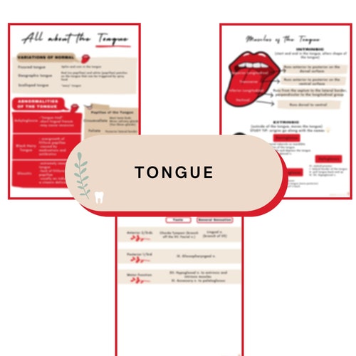 Dental Hygiene Anatomy Bundle Study Guide Digital Download - Etsy