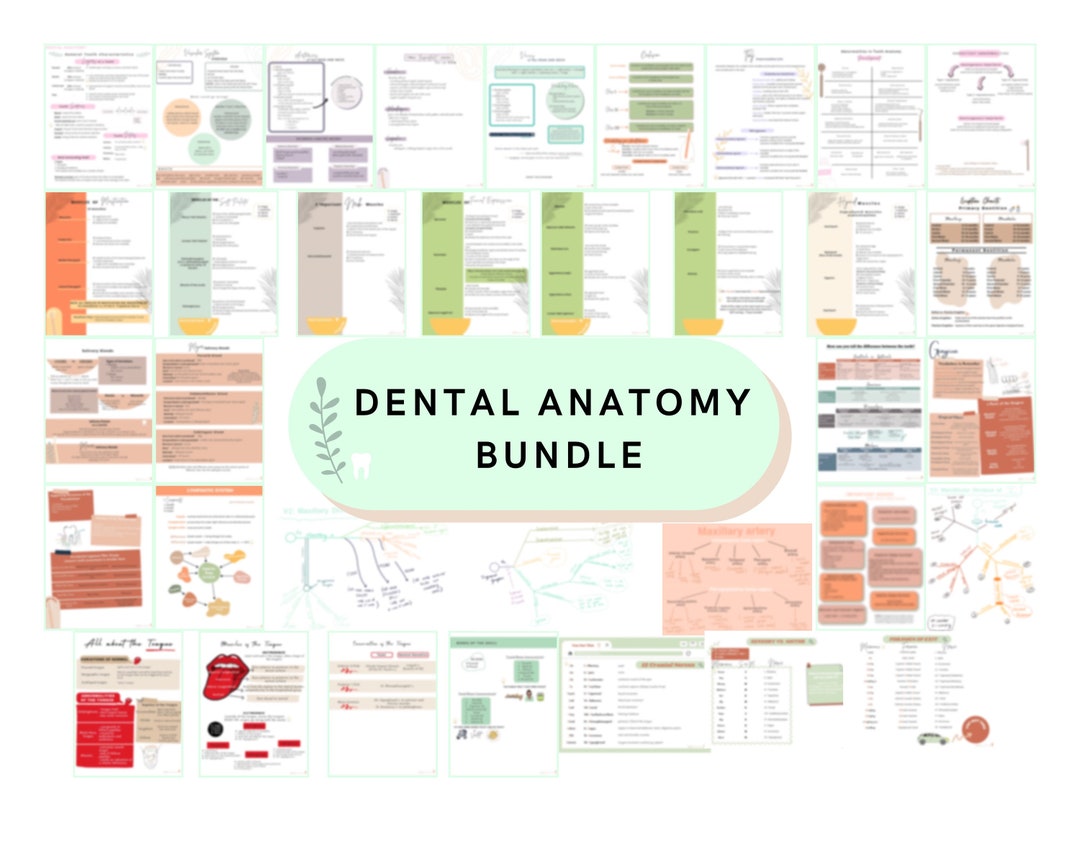 Dental Hygiene Anatomy Bundle Study Guide - Digital Download - Etsy