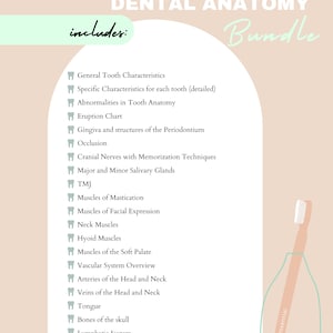 Dental Hygiene Anatomy Bundle Study Guide - Digital Download - Etsy
