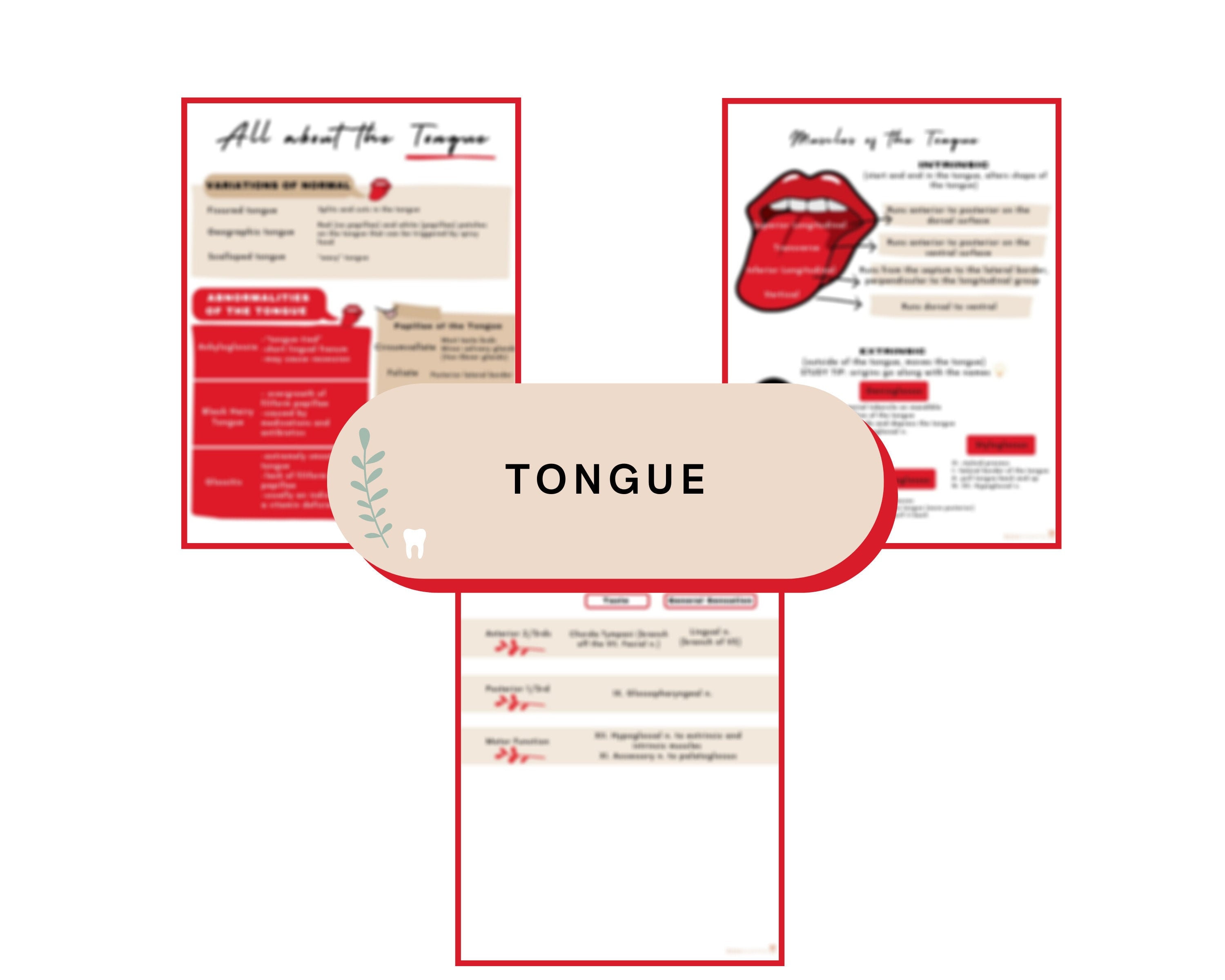 Dental Hygiene Tongue Study Guide- Digital Download - Etsy