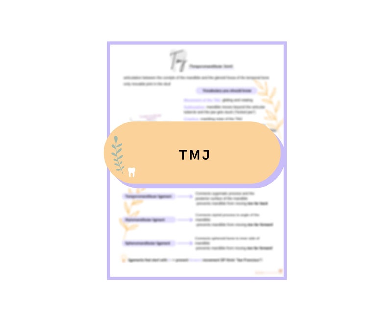 Dental Hygiene TMJ Study Guide Sheet- Digital Download - Etsy