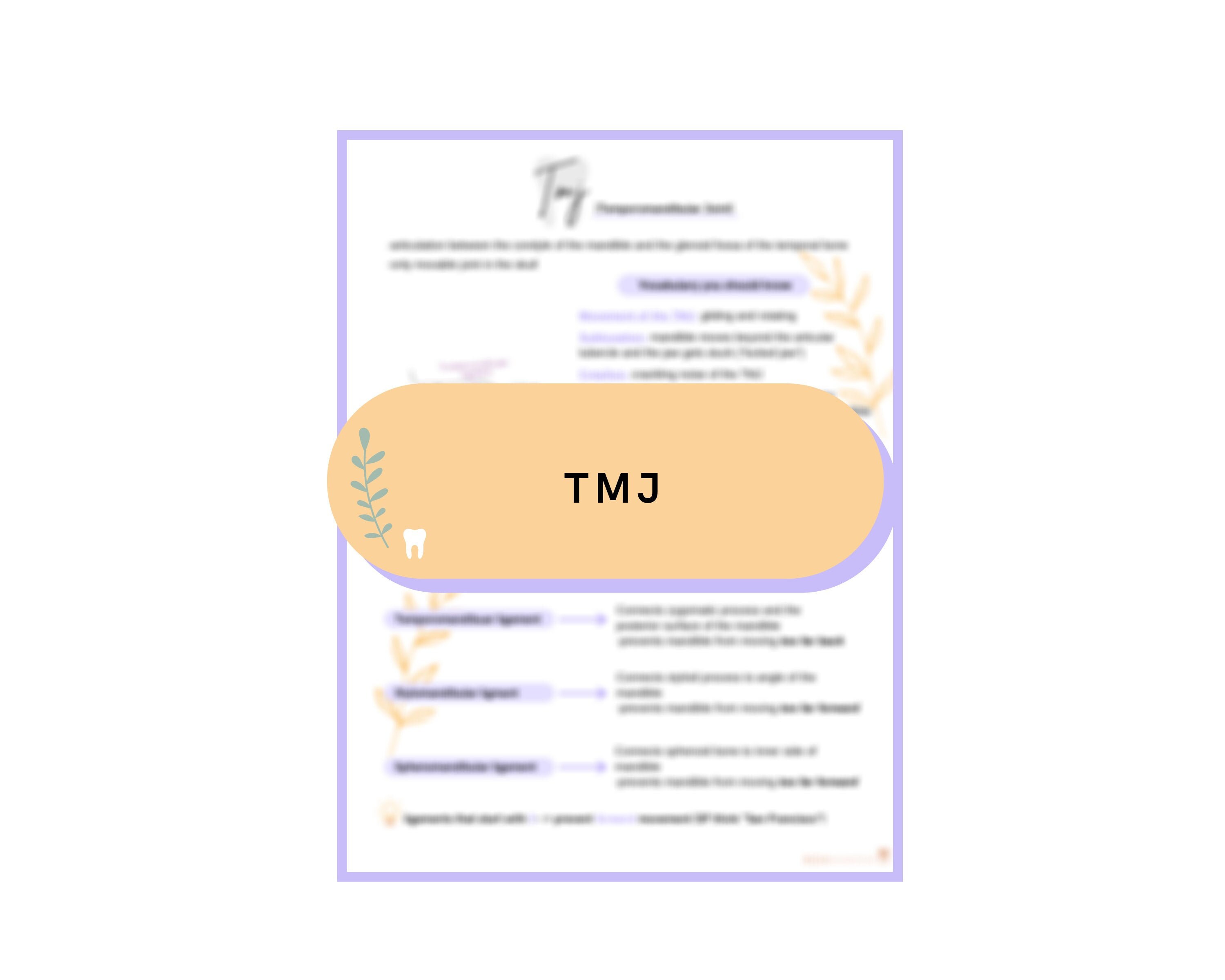 Dental Hygiene TMJ Study Guide Sheet- Digital Download - Etsy