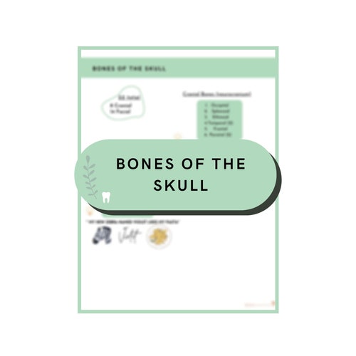 Dental Hygiene TMJ Study Guide Sheet Digital Download - Etsy