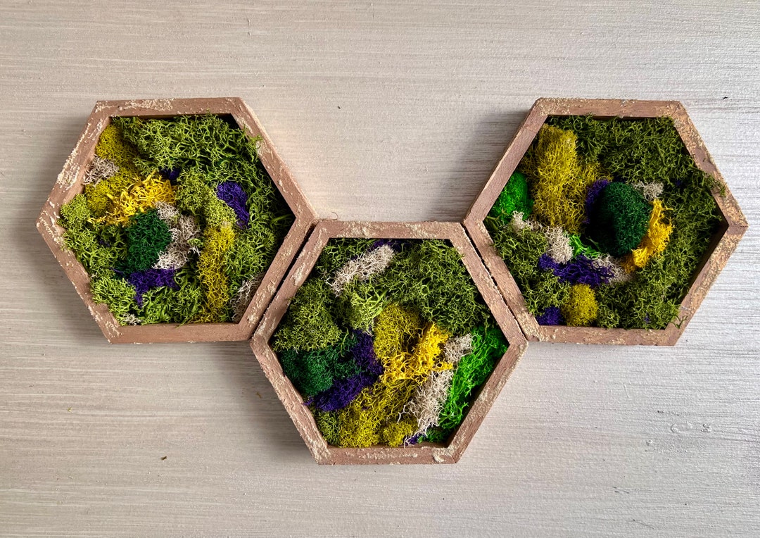Set of 3 Preserved Moss Wall Art Decor Hexagon Wall Art - Etsy