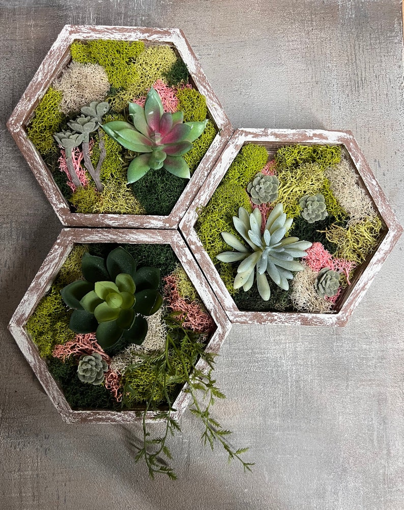 Set of 3 Moss Wall Decor Moss Wall Art Moss and Fake - Etsy