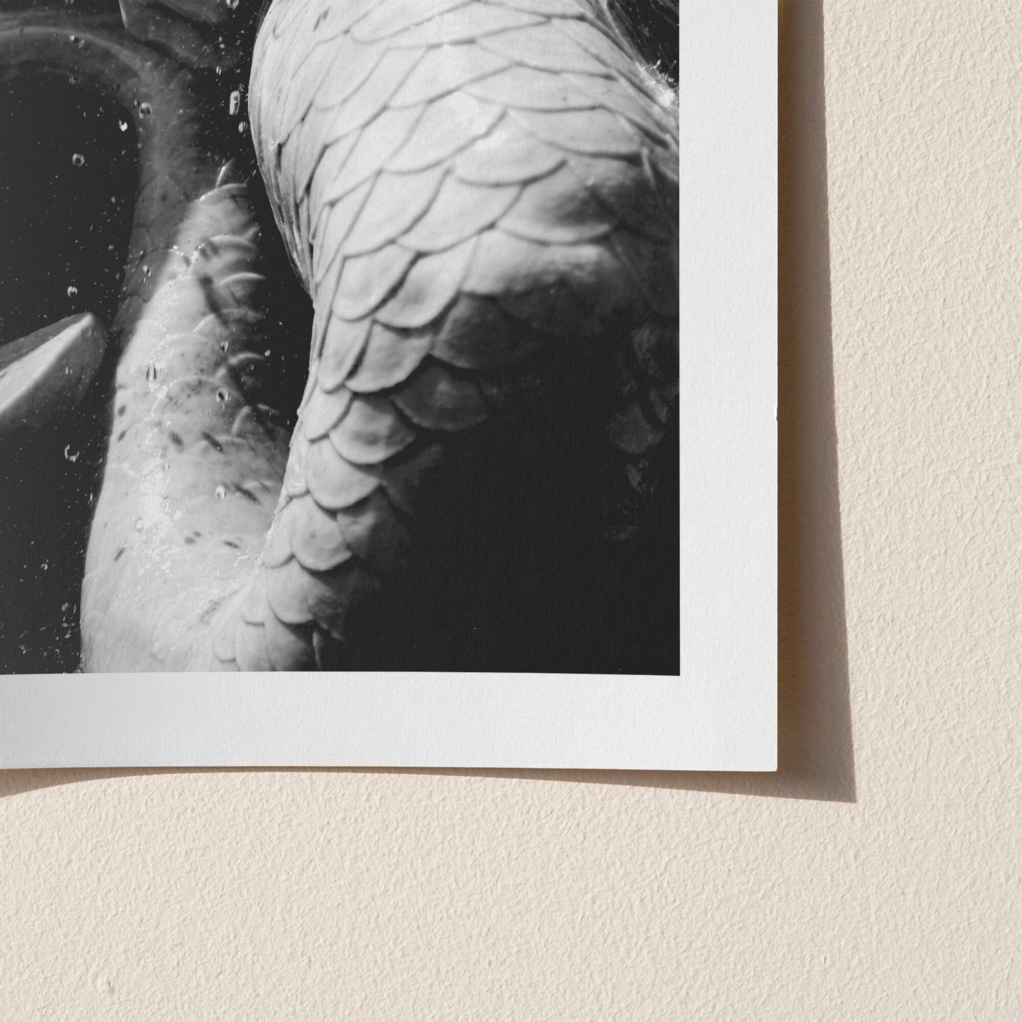 Triton Sea God Print Greek Mythology Poster Ancient History - Etsy