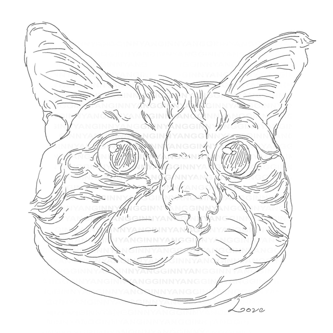 Cat Line Art. Cat Print. the Cat Face Line. Line Drawing. - Etsy