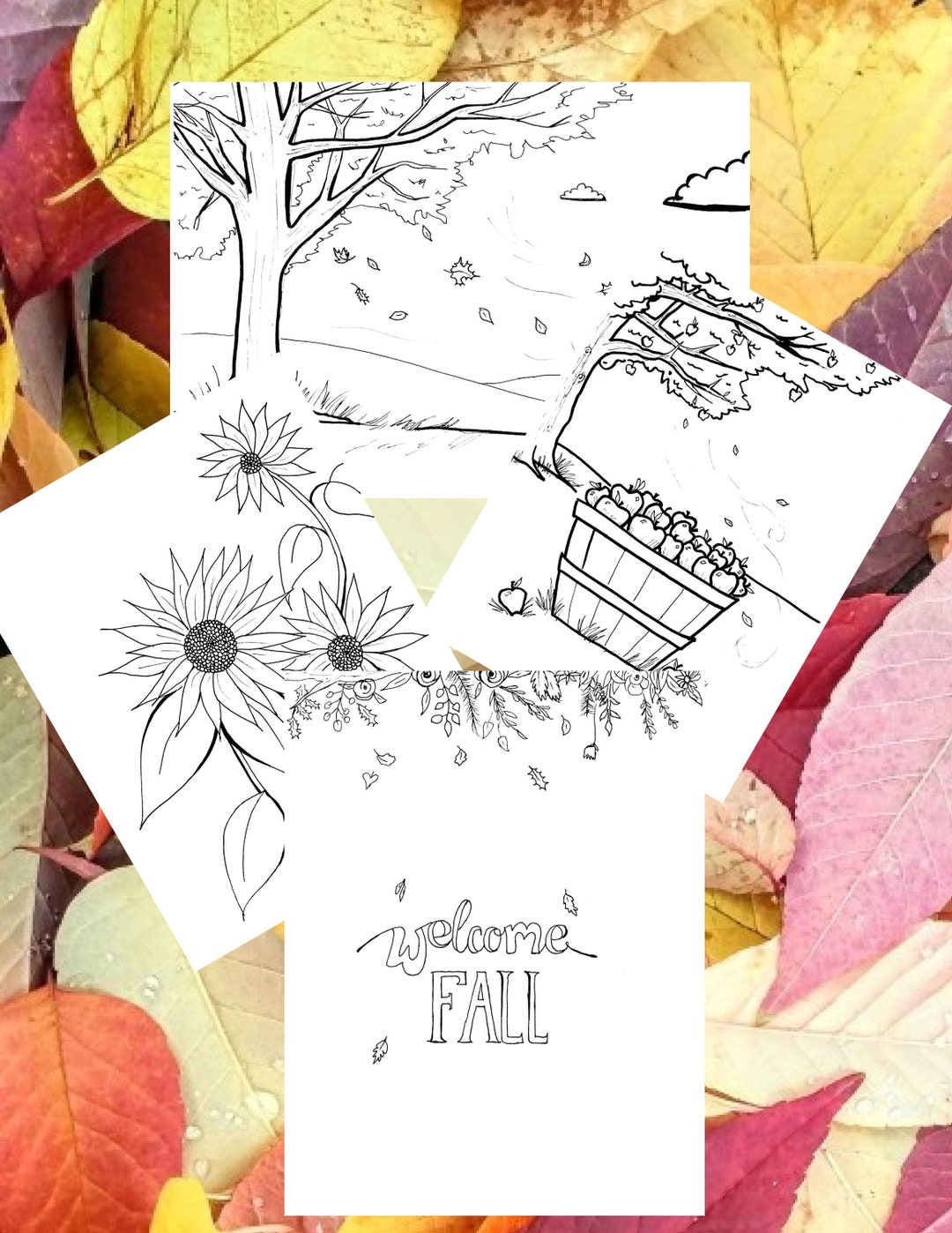 Fall Coloring Pages Bundle Autumn/ Fall Themed Package - Etsy