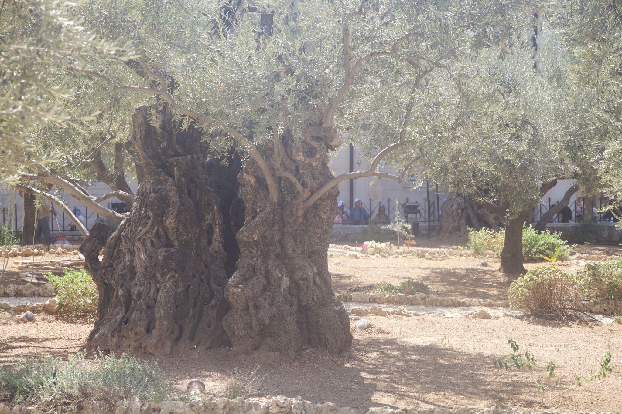 The Law of Moses Keychain. the Golden Rule Pendant Inset With Soil From ...