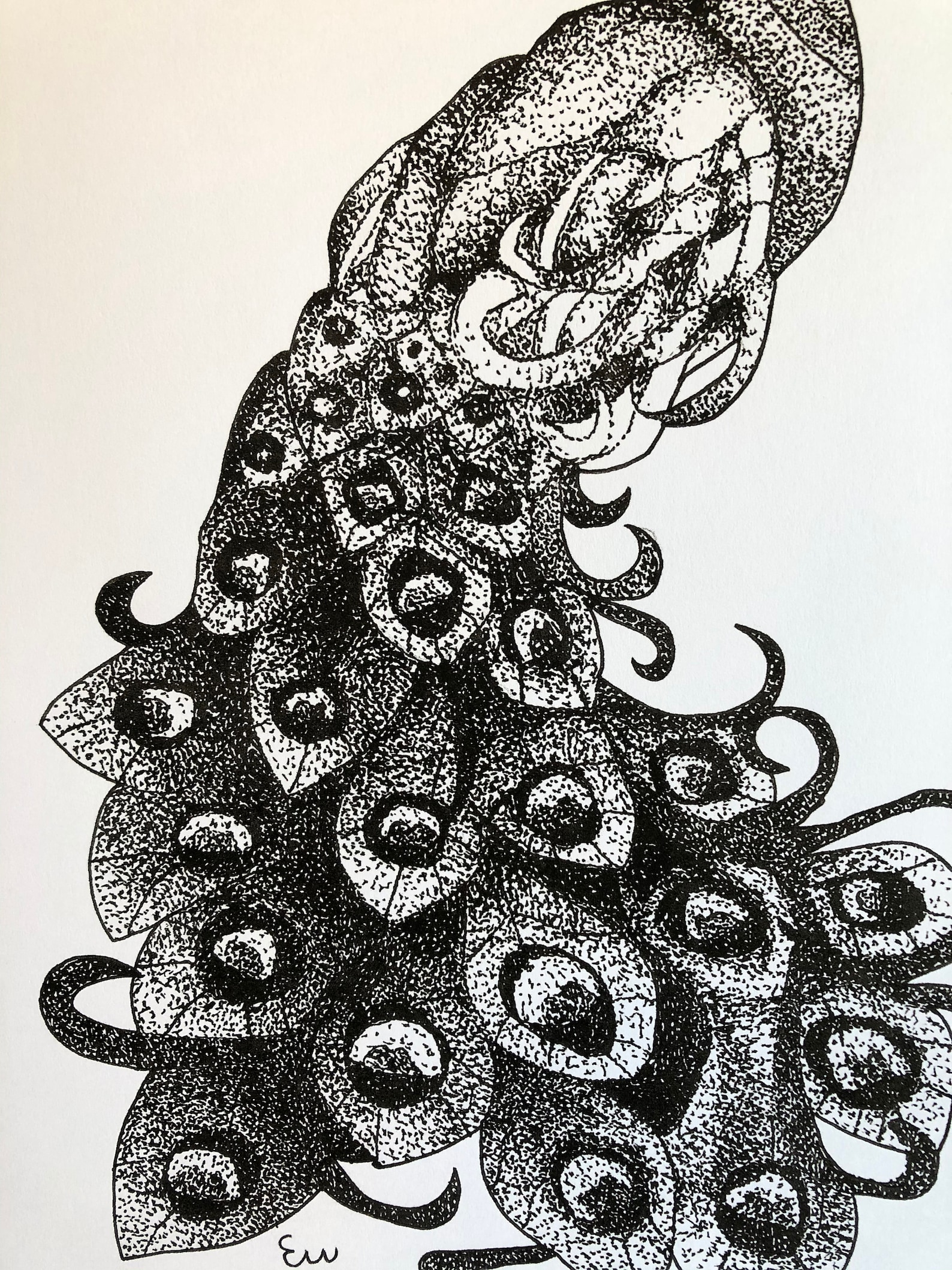 Peacock Wall Art Pointillism Animal Print - Etsy