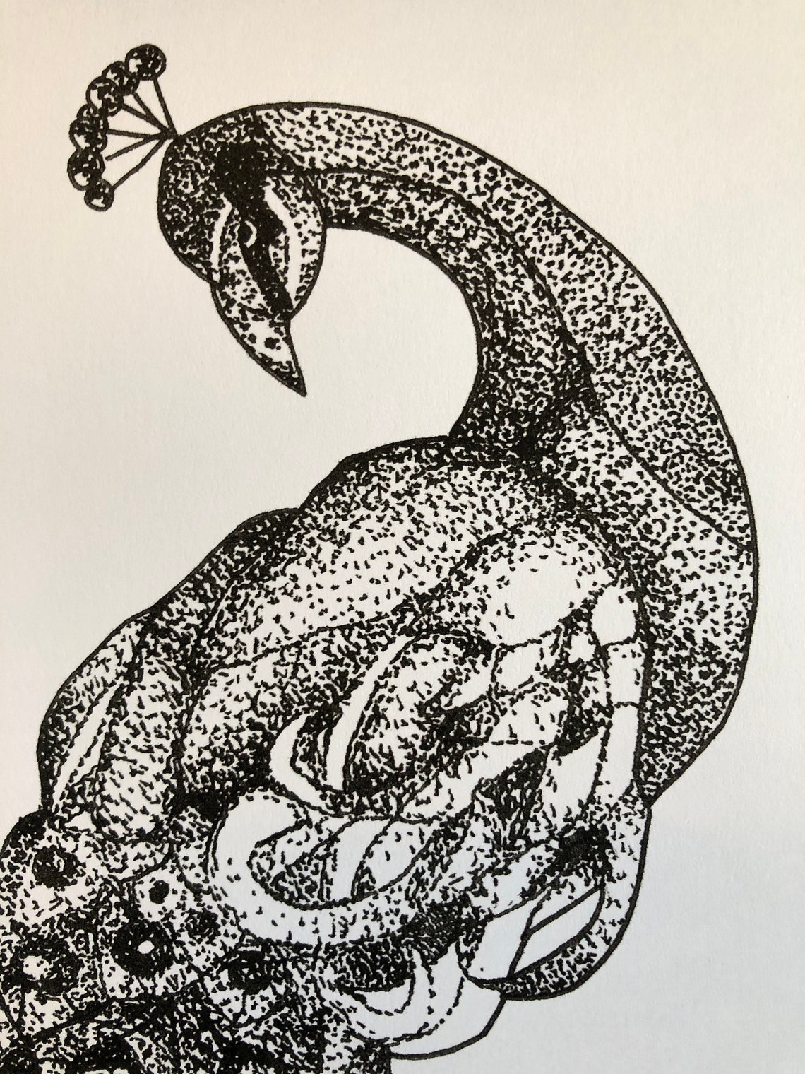 Peacock Wall Art, Pointillism Animal Print - Etsy