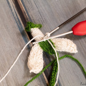 Snowdrop Knitting Pattern - Etsy