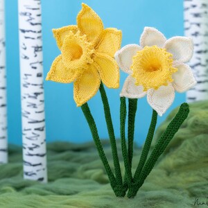 Daffodil Knitting Pattern - Etsy