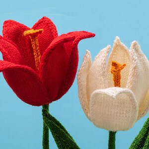 Tulip Knitting Pattern - Etsy