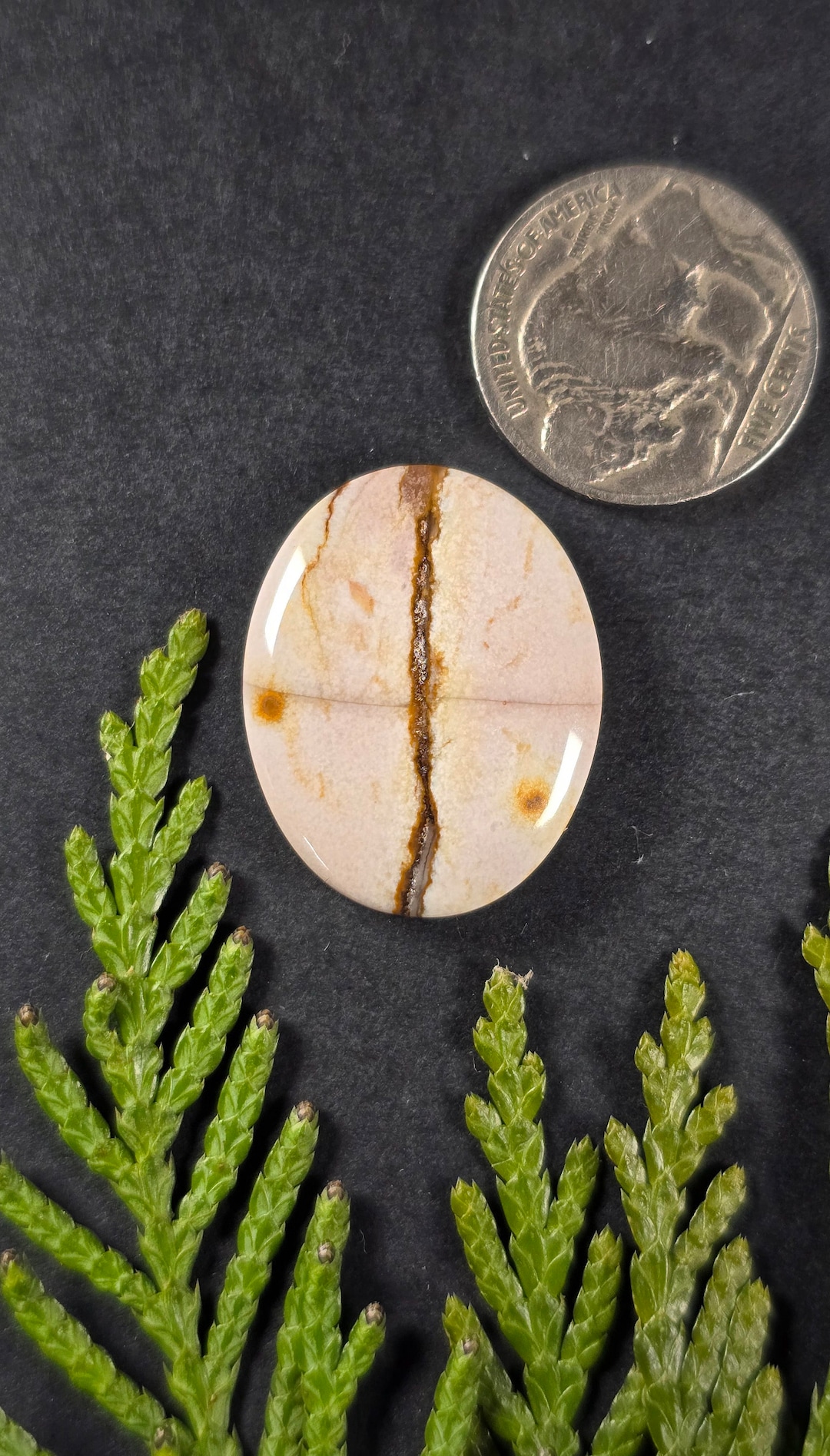Stellar Oregon Sunset Jasper Cabochon - Etsy