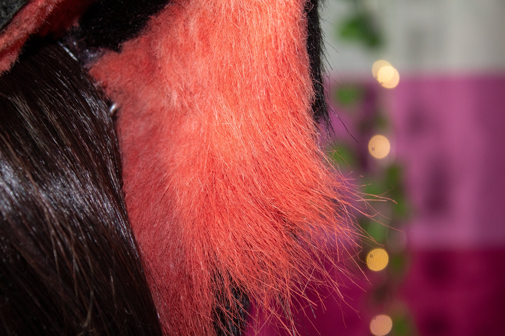 Catra Cat Ears COSPLAY - Etsy