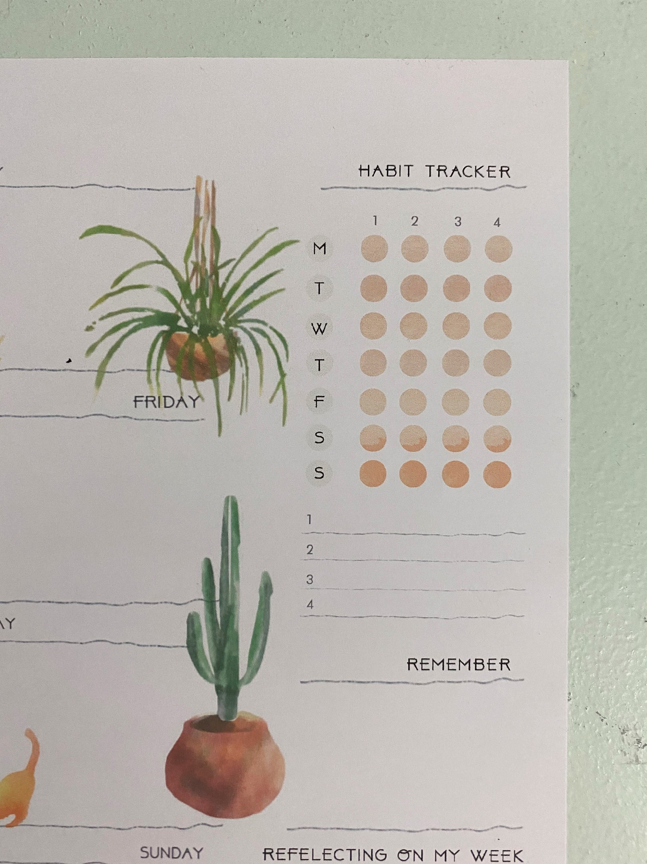 Printable Weekly Planner With Plant Doodle - Etsy