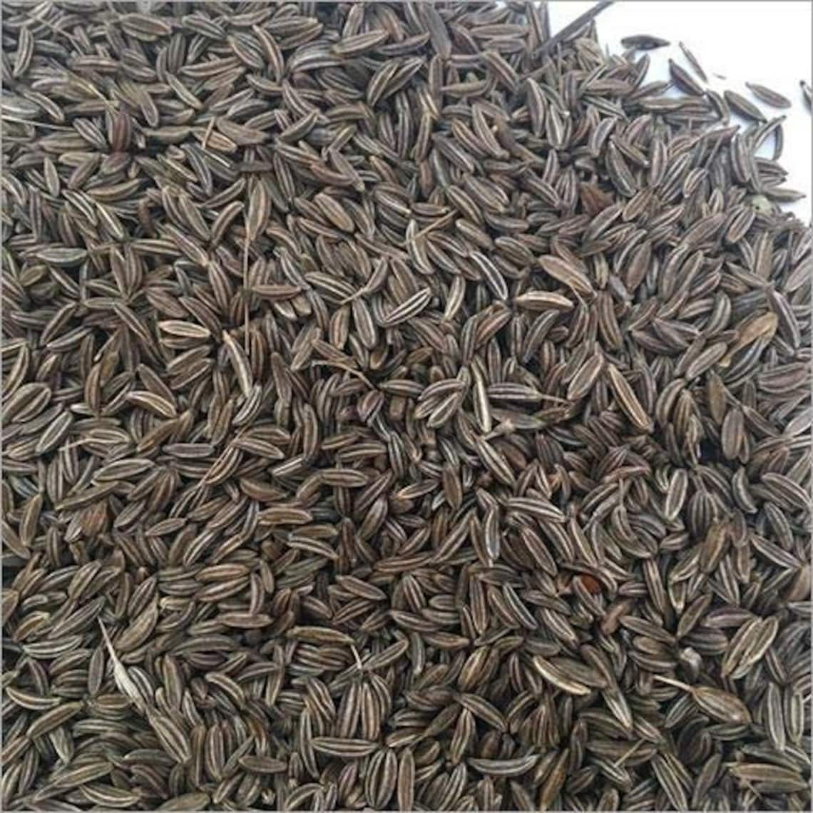 Black Cumin Seed Shahi jeera Caraway Seeds shah jeera | Etsy