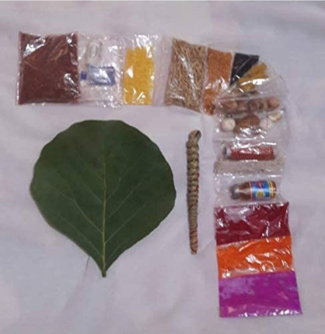 Pujan Samagri/pitra Pujan Samagri/tarpan 10 Palash Leaves 1 Kusha Kala ...