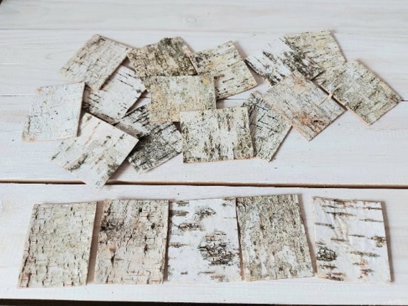 30 White Birch Bark Sheets. Birch Bark Decor.birch Sheets Craft. Birch ...