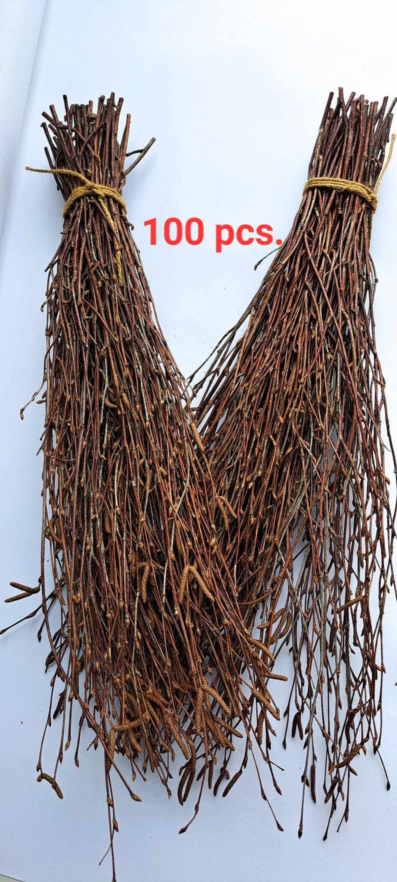 Birch Tree Branches 50 Pcs. - Etsy