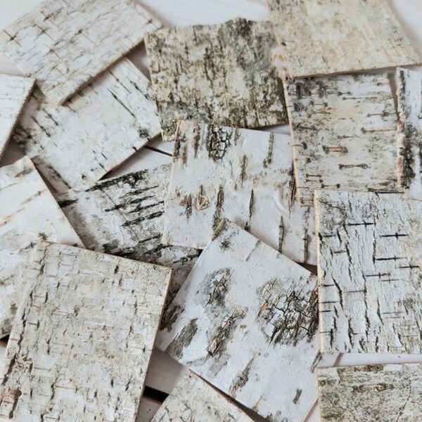 White Birch Bark - Etsy