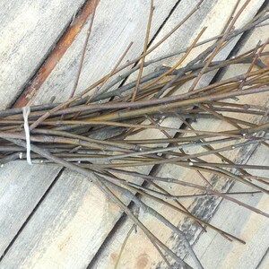 25 Rowan Twigs: Wiccan Amulet Wood Sticks, DIY Craft Supply - Etsy