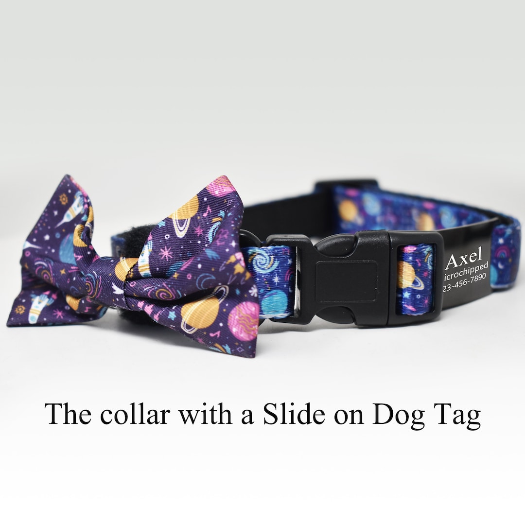 Personalized Dog Collar, Custom Dog Collar With Engraved High Quality ...