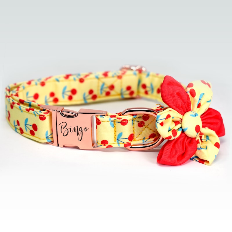 Female Dog Collar - Etsy