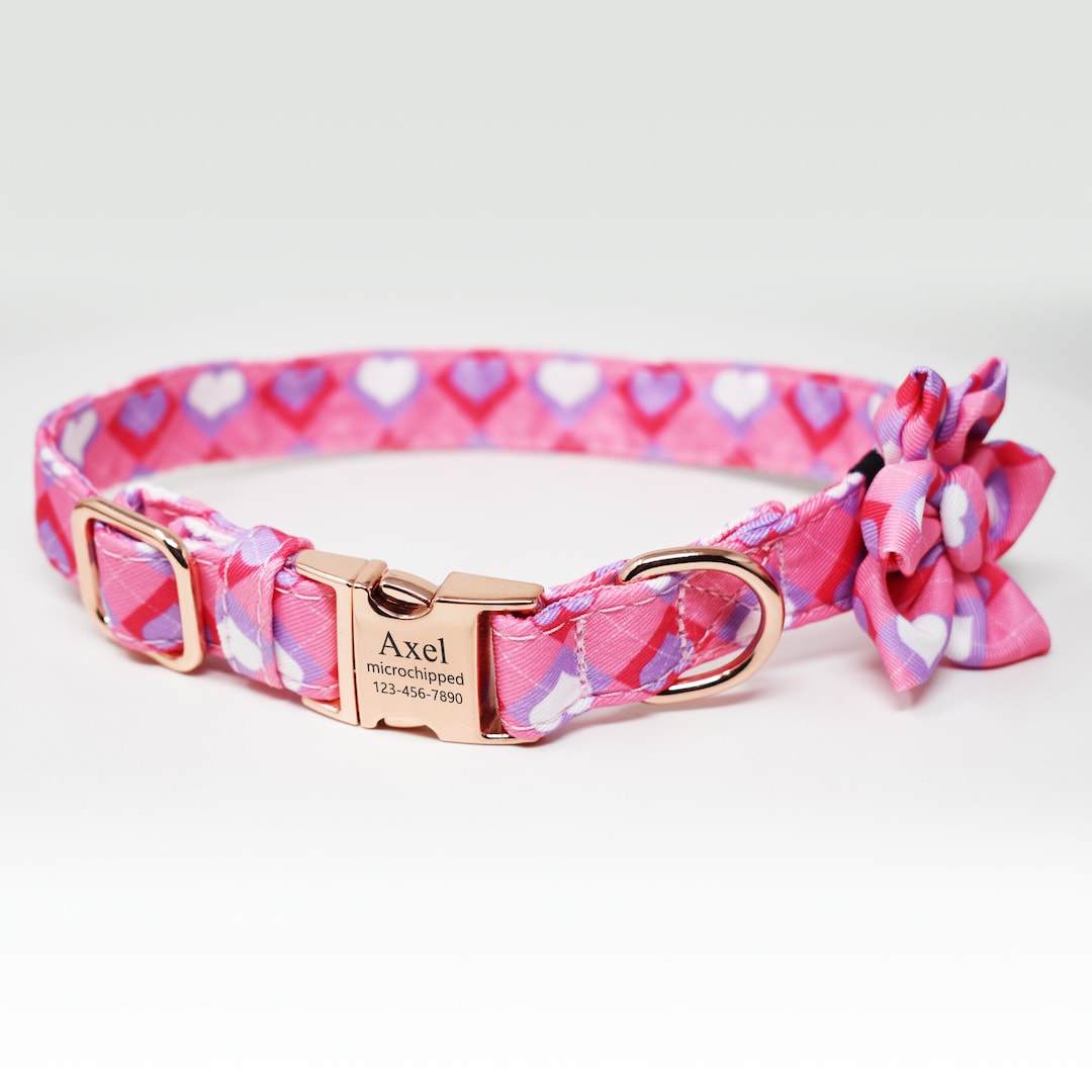 Personalized Dog Collar, Custom Engraved High Quality ID Dog Collar ...
