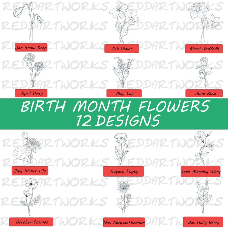 Birth Month Flower SVG Bundle Flower Bouquet Frame SVG - Etsy
