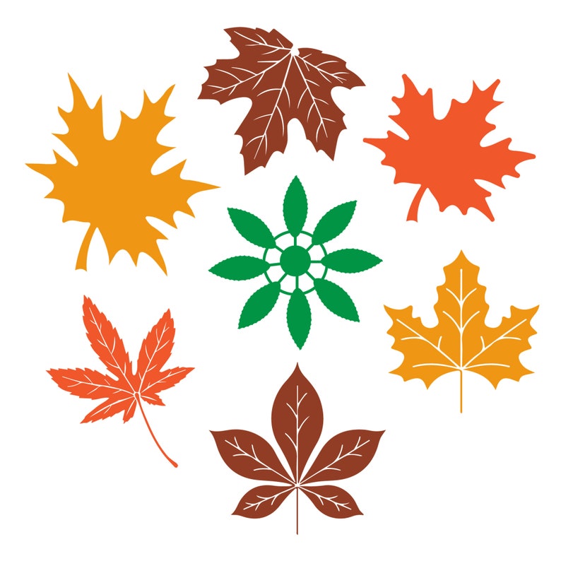 Fall Leaves Svg Leaf Svg Leaves Svg Fall Svg Leaf Leaves - Etsy