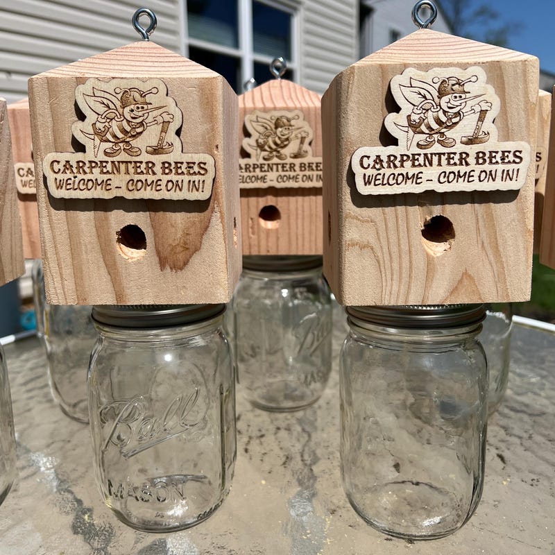 Carpenter Bee Trap - Etsy