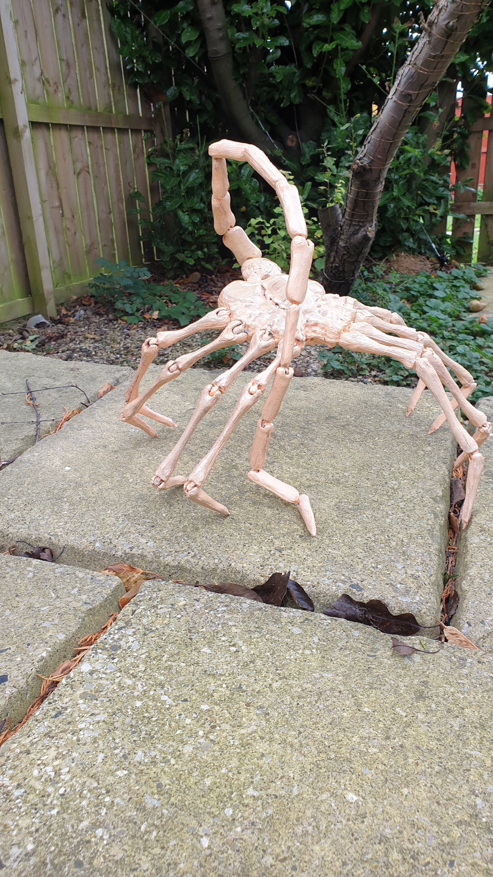 Alien Face Hugger and Chest Burster - Etsy