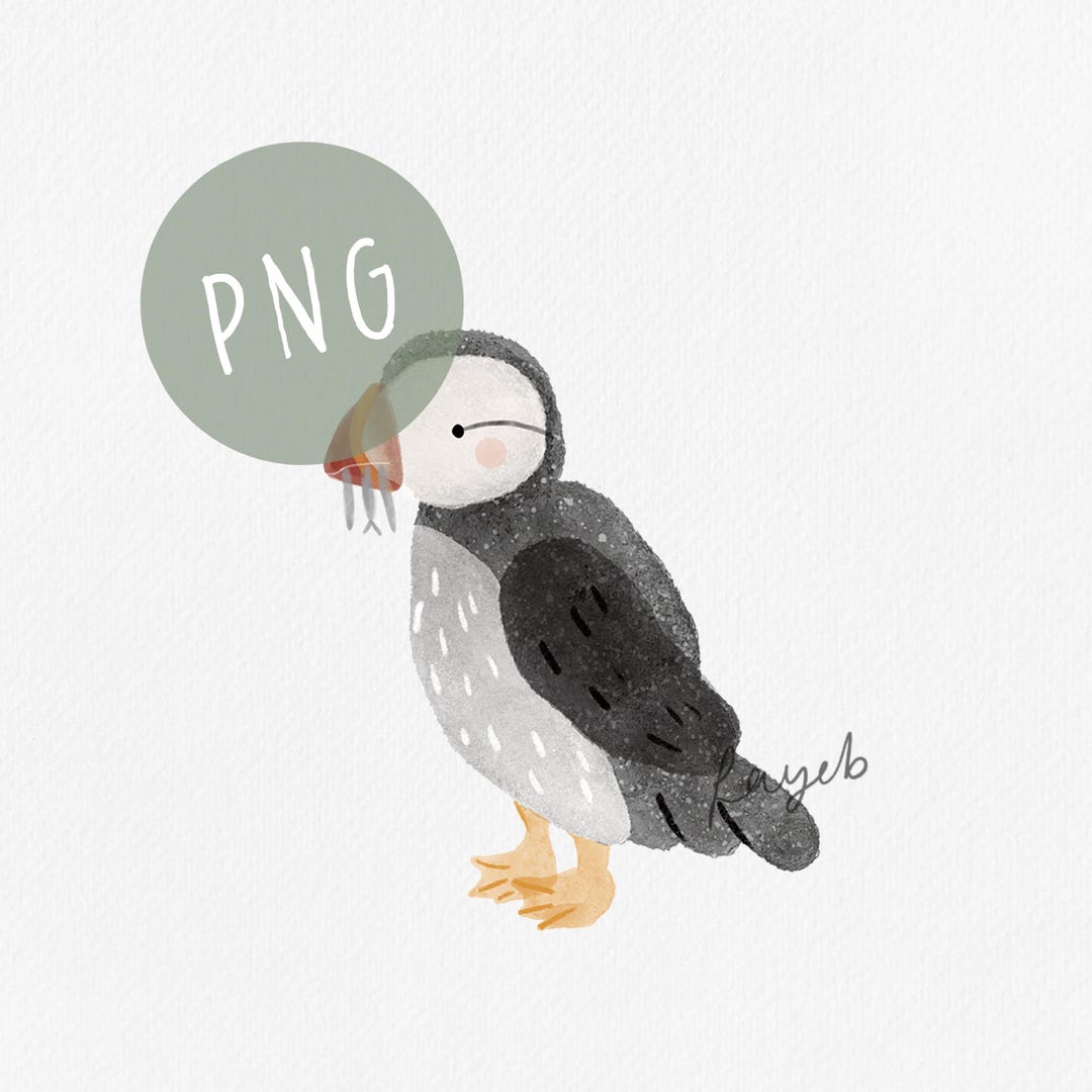 Puffin Clipart, Kawaii PNG, Nautical Clipart, Fayebdoodles - Etsy
