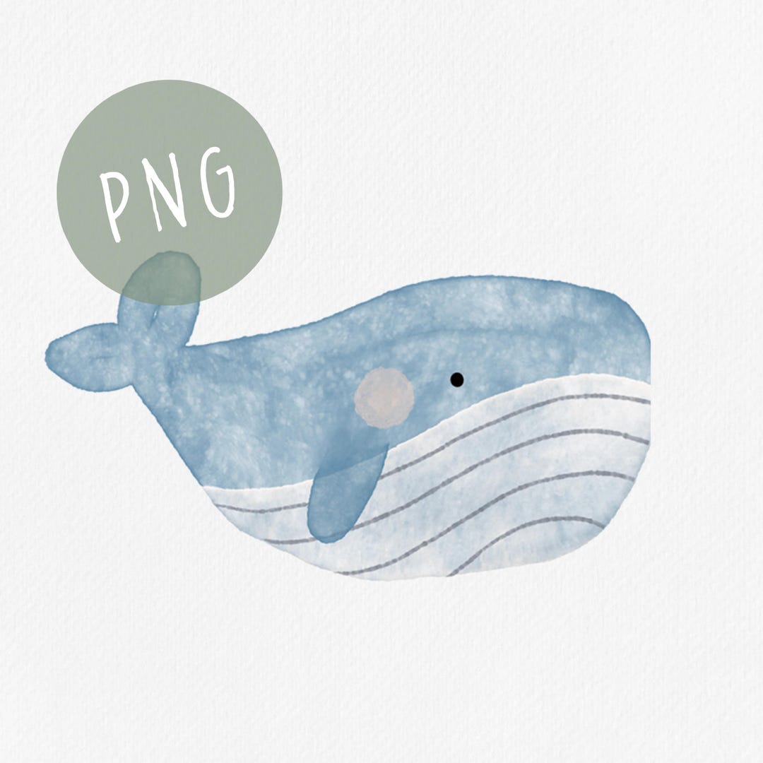 Watercolor Whale Clipart: Nautical Sea Animal PNG (10x10 Inch) - Etsy