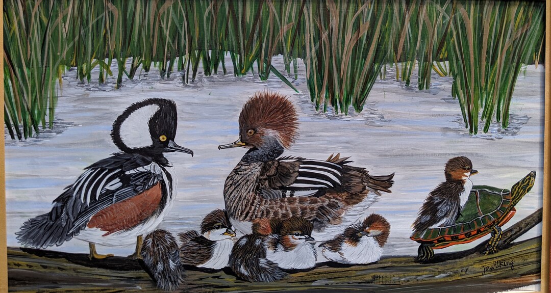 Hooded Merganser Family with Turtle - Etsy Österreich