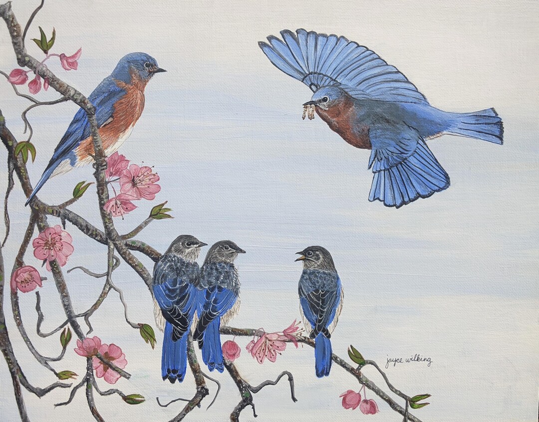 Bluebird Family - Feeding Time - ORIGINAL Painting - Etsy