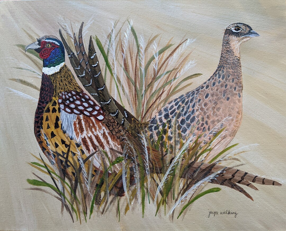 ORIGINAL Reduced Ring-necked Pheasant Couple Acrylic Painting - Etsy