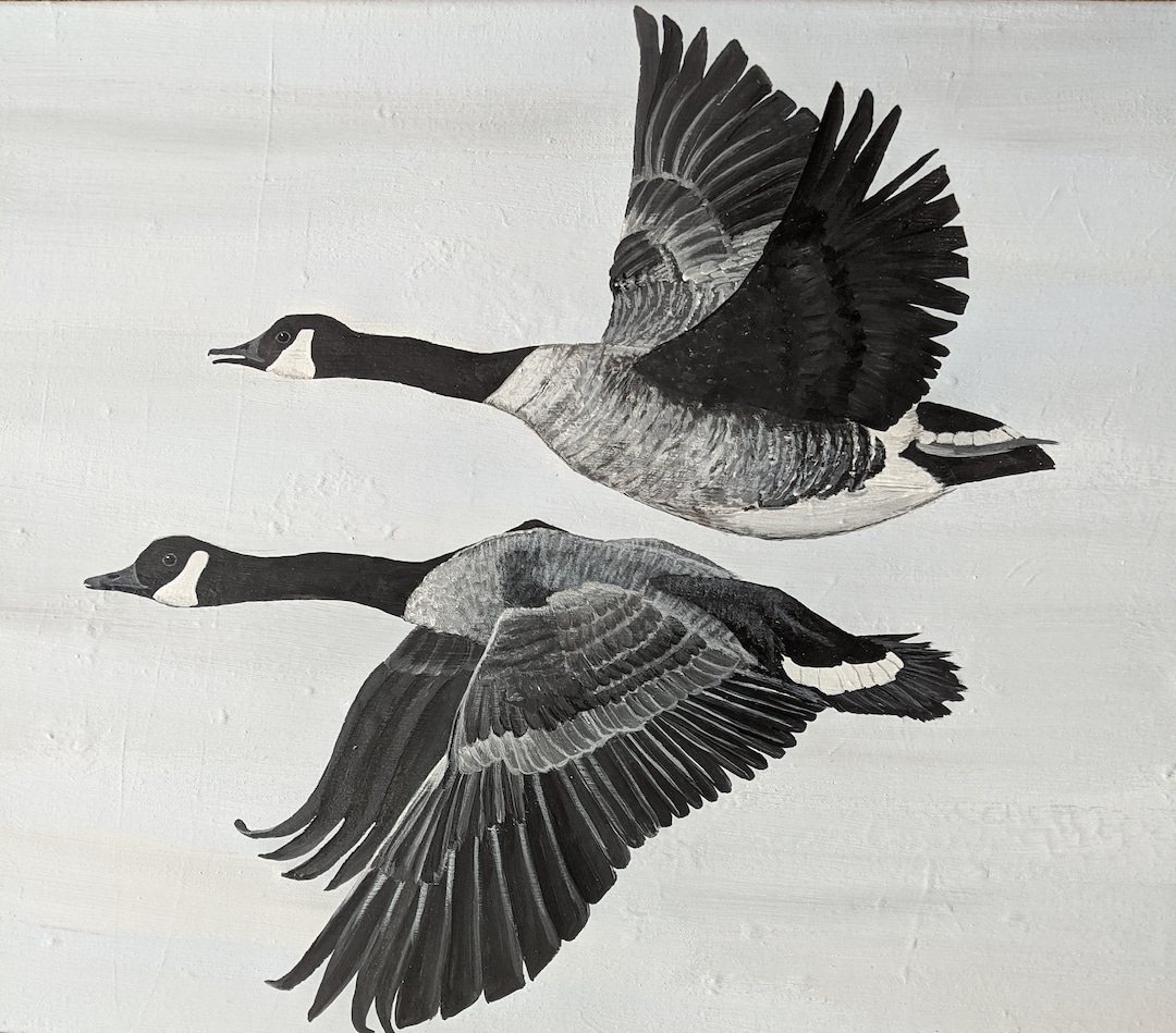 Canadian Geese in Flight - Etsy